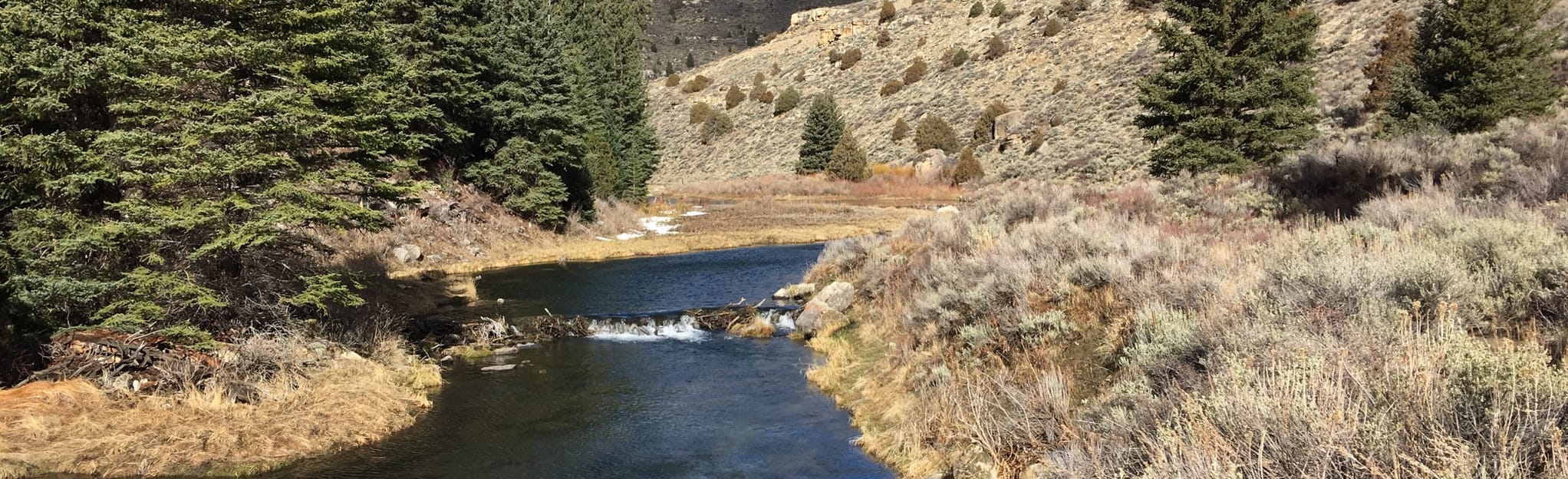 Strawberry River: 49 Reviews, Map - Utah | AllTrails
