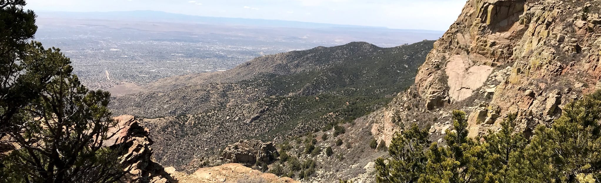 Sandia Crest Trail: 87 Reviews, Map - New Mexico | AllTrails