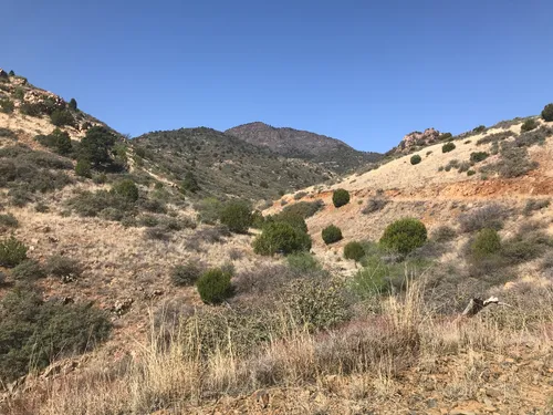 Best Off Road Driving Trails in Prescott National Forest | AllTrails