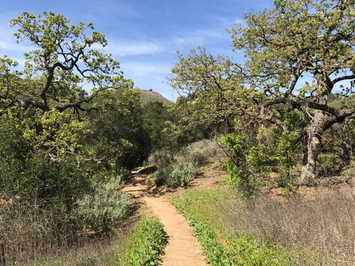 Best Hikes and Trails in Conejo Valley Botanic Garden | AllTrails