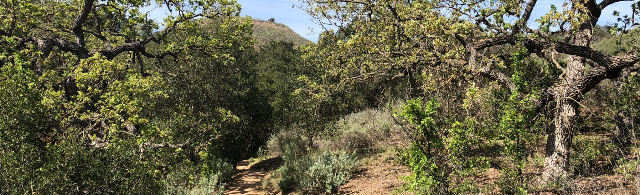 Conejo Valley Botanic Garden, California - 314 Reviews, Map | AllTrails