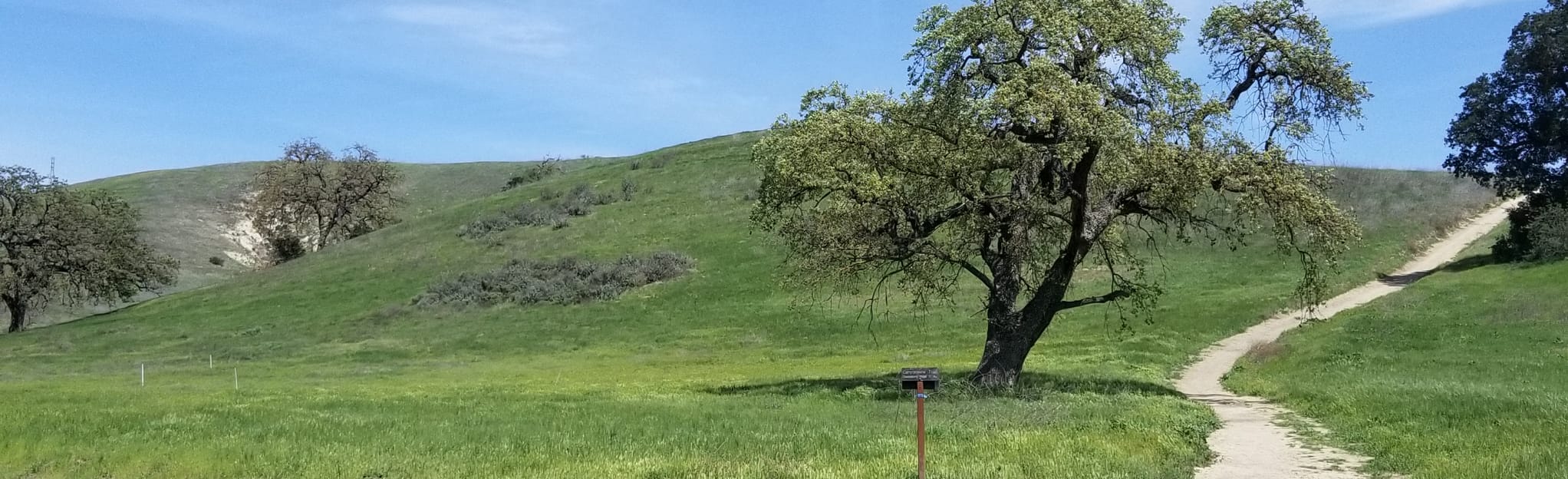 Cheeseboro Canyon View Trail | Map, Guide - California | AllTrails