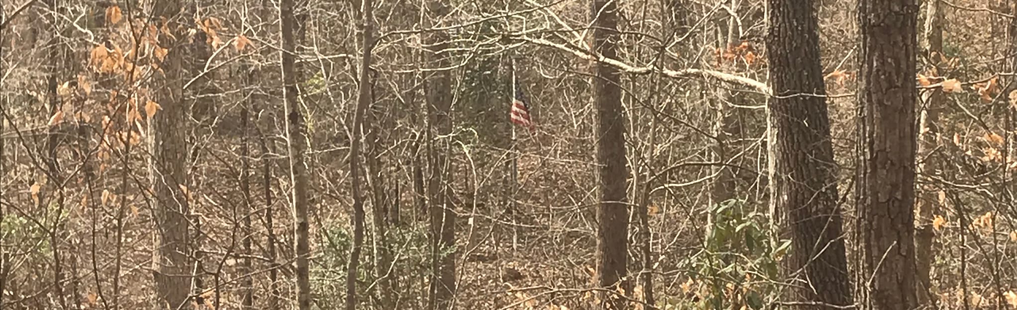 Dead Man Branch Trail, Georgia - 97 Reviews, Map | AllTrails