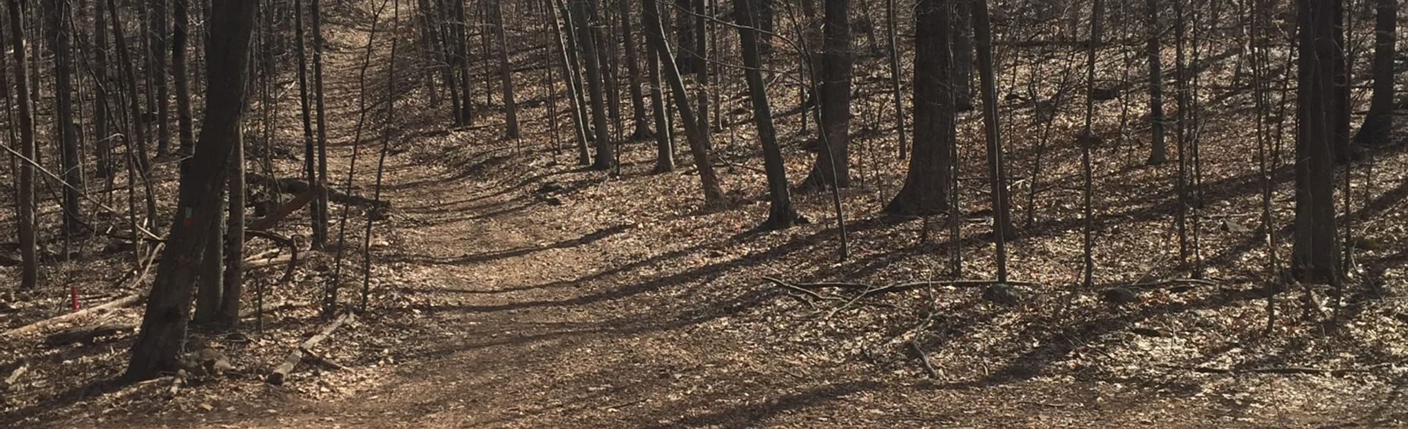 Sunset Rock Green Trail Loop: 283 Reviews, Map - Connecticut | AllTrails