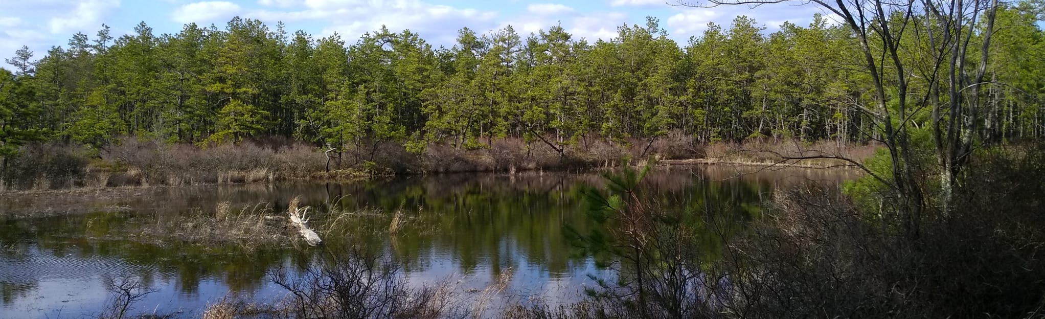 Batona Trail and Jersey Central Lines from Carranza Memorial: 362 foto ...