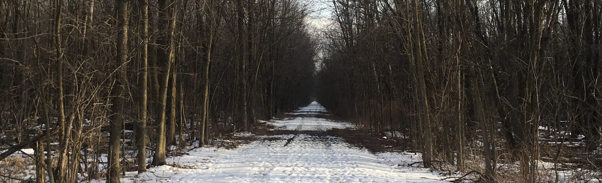 Wiouwash State Recreational Trail | Map, Guide - Wisconsin | AllTrails