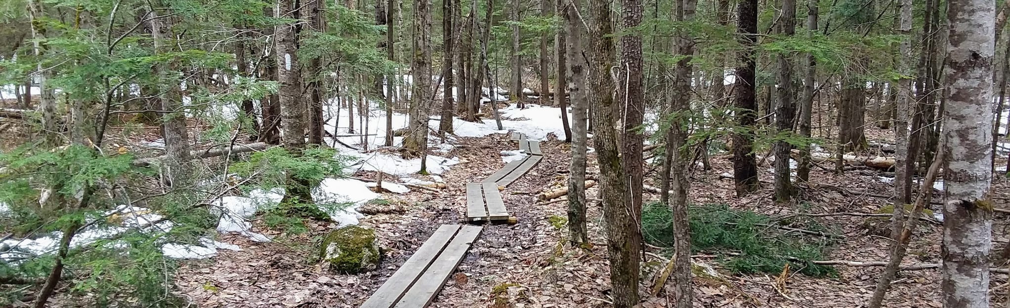 Brimstone Trail , Maine - 36 Reviews, Map | AllTrails