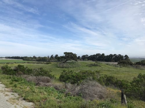 2023 Best 10 Long Trails in Fort Ord National Monument | AllTrails
