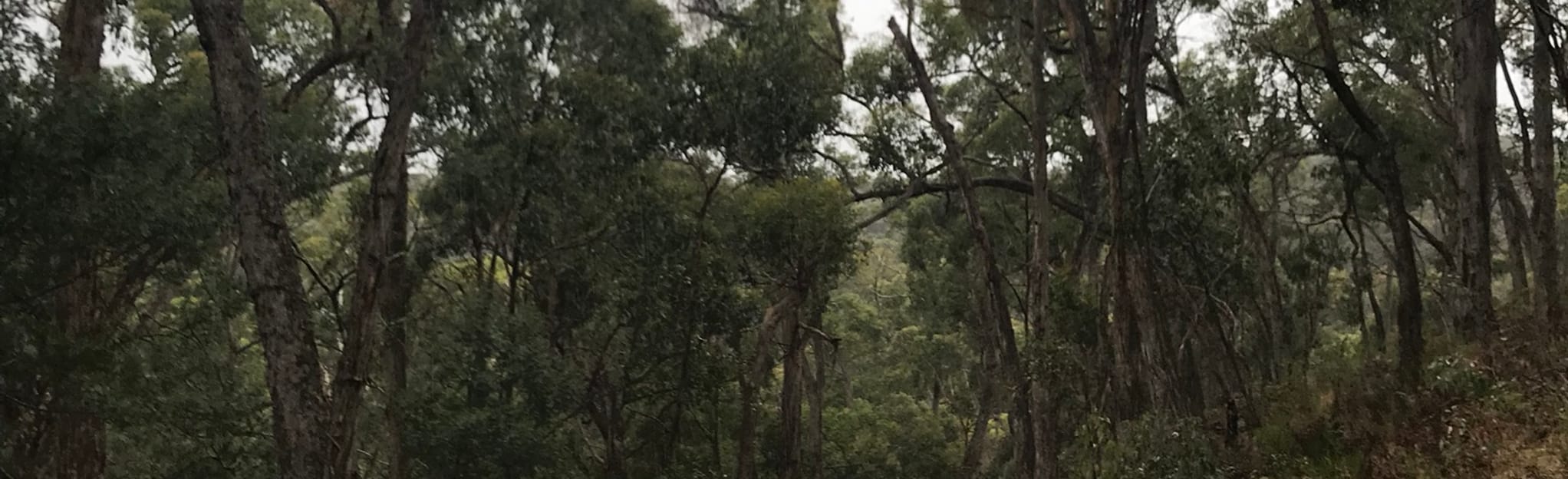 Lal Lal Circuit via Mount Doran: 9 Reviews, Map - Victoria, Australia ...