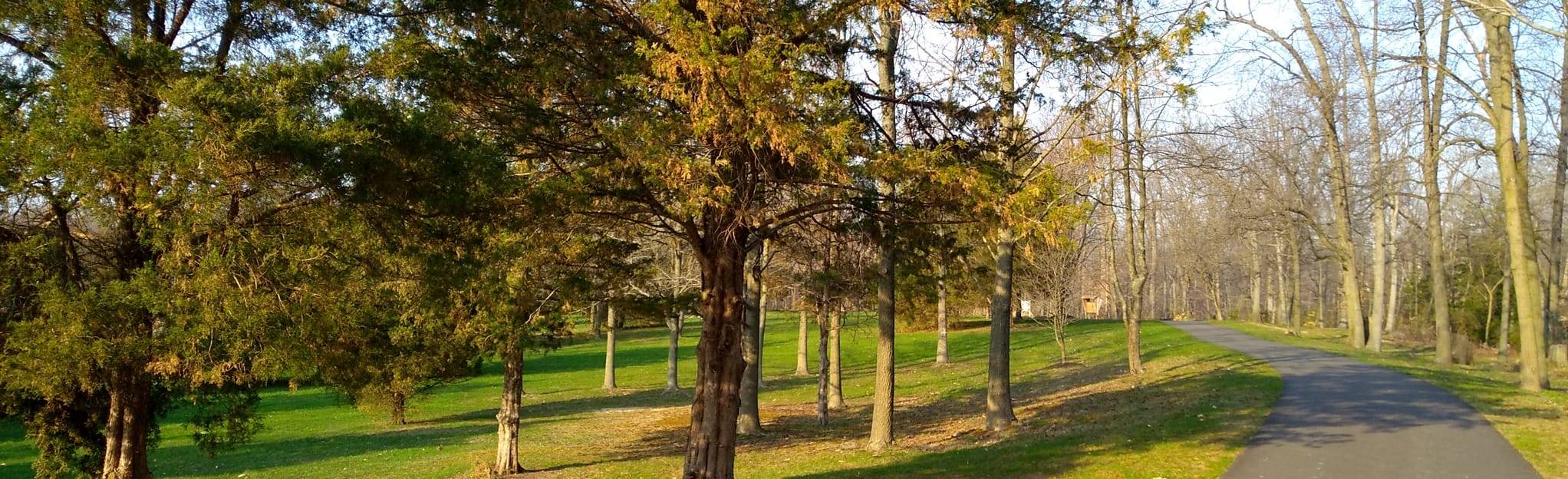 Chestnut Branch Park Nature Trail, New Jersey - 132 Reviews, Map ...