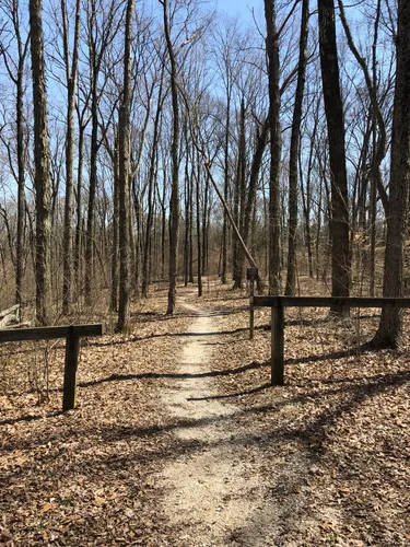 2023 Best Dogs On Leash Trails in Paoli | AllTrails