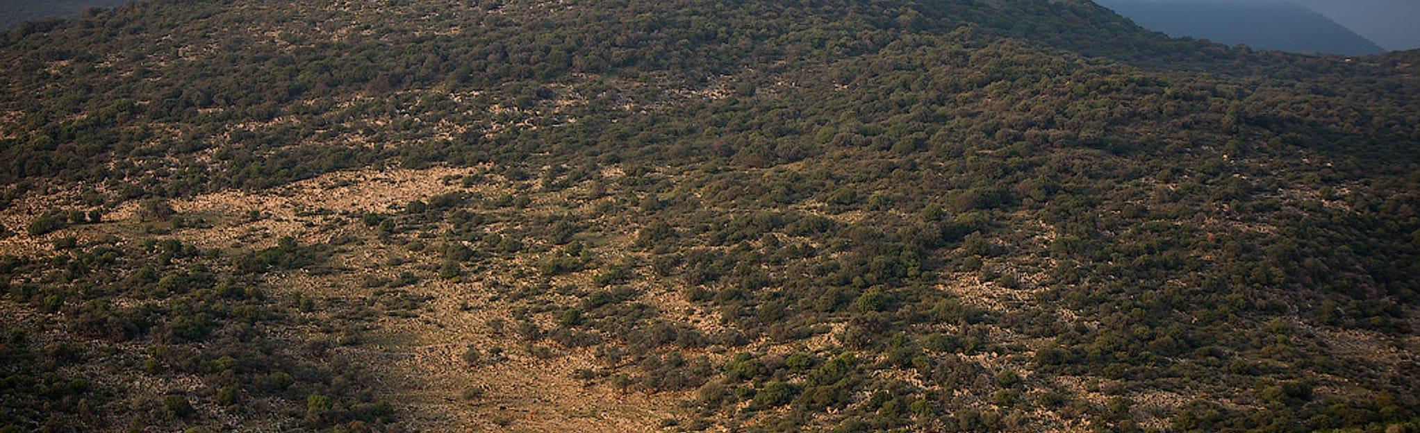 Banias to Nimrod Fortress via Saar Stream: 1 Reviews, Map - Golan ...