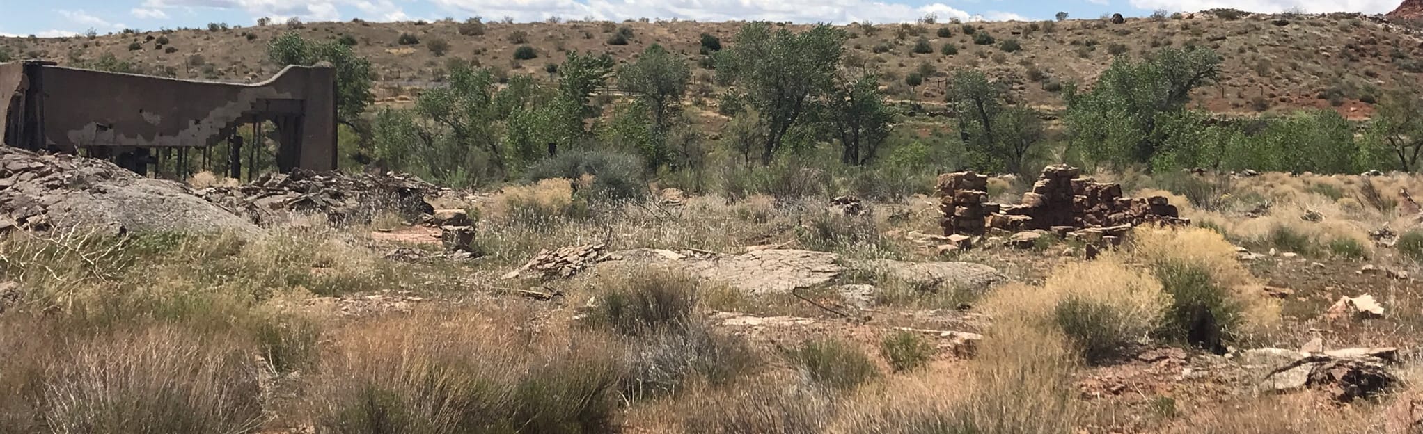 White Reef Trail and Leeds Reef Trail Loop: 102 Reviews, Map - Utah ...