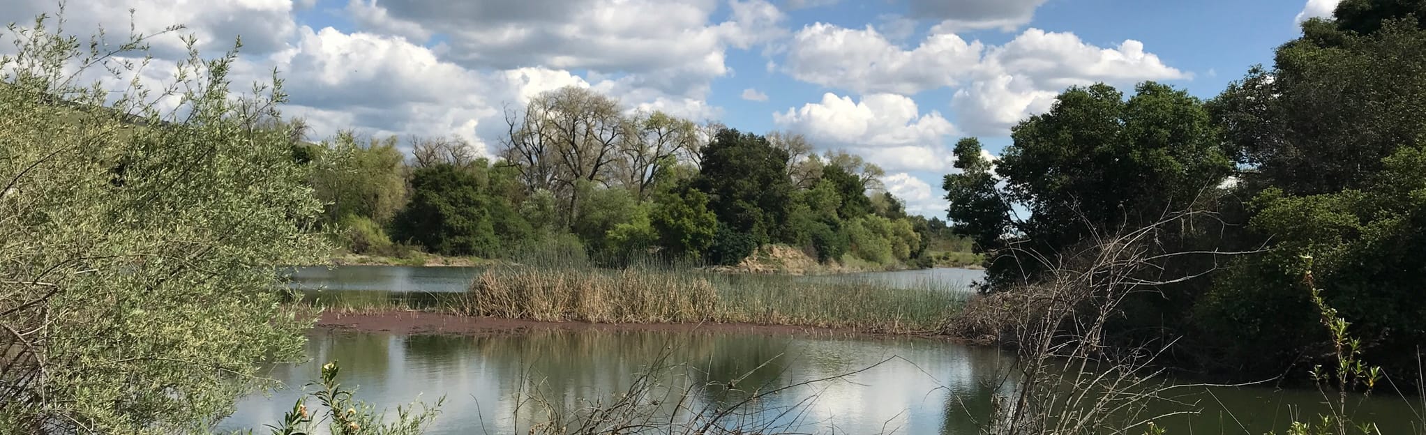 Bay Area Ridge Trail: Coyote Creek Parkway South, California - 417 ...