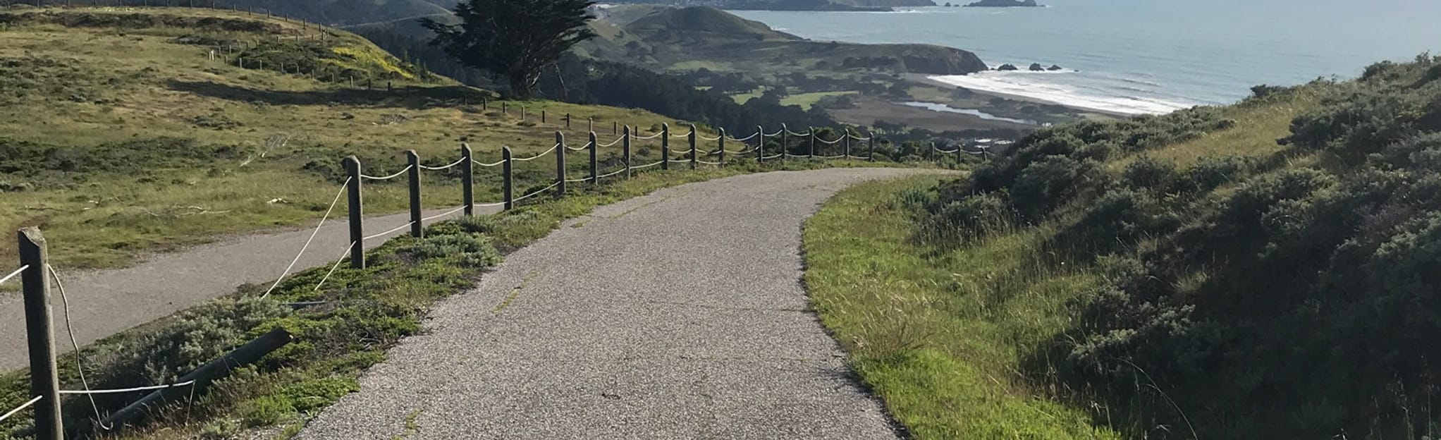 Milagra Summit Trail, California - 154 Reviews, Map | AllTrails