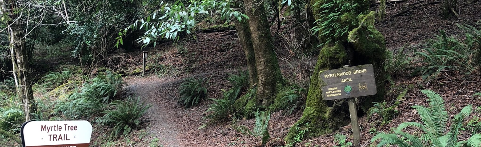 Myrtle Tree Trail, Oregon - 42 Reviews, Map | AllTrails