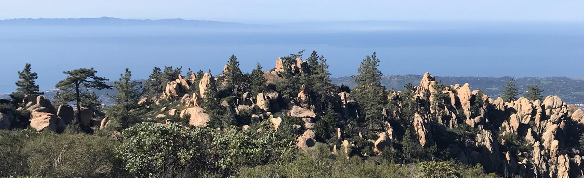 Rocky Pine Ridge Trail, California - 81 Reviews, Map | AllTrails