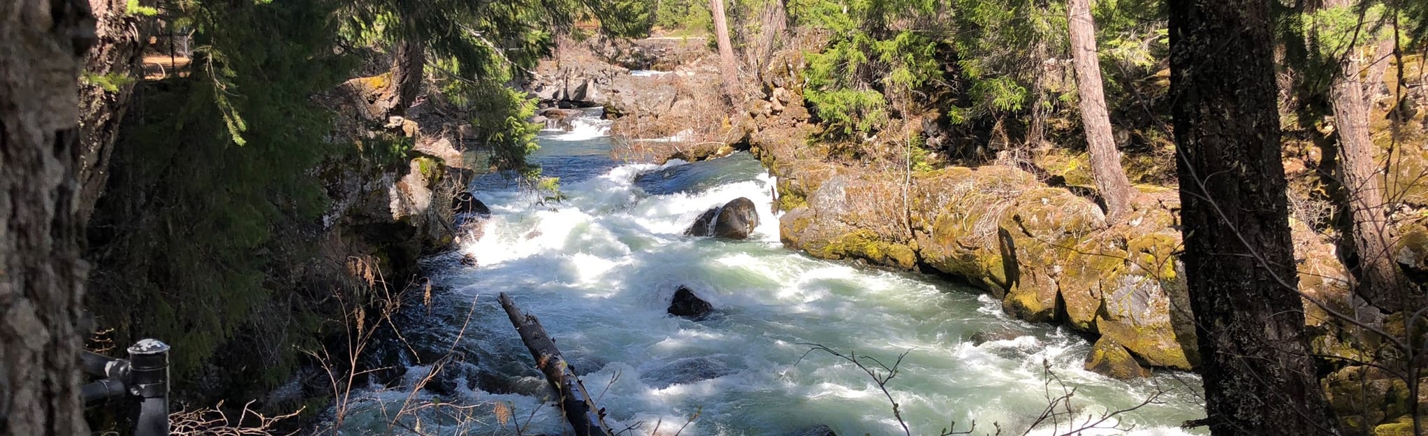 Rogue River Natural Bridge - Oregon | AllTrails