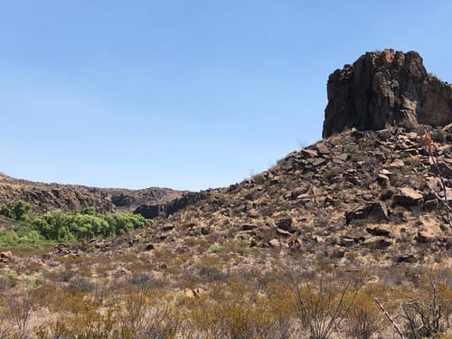 Best 10 Hikes and Trails in Big Bend Ranch State Park | AllTrails
