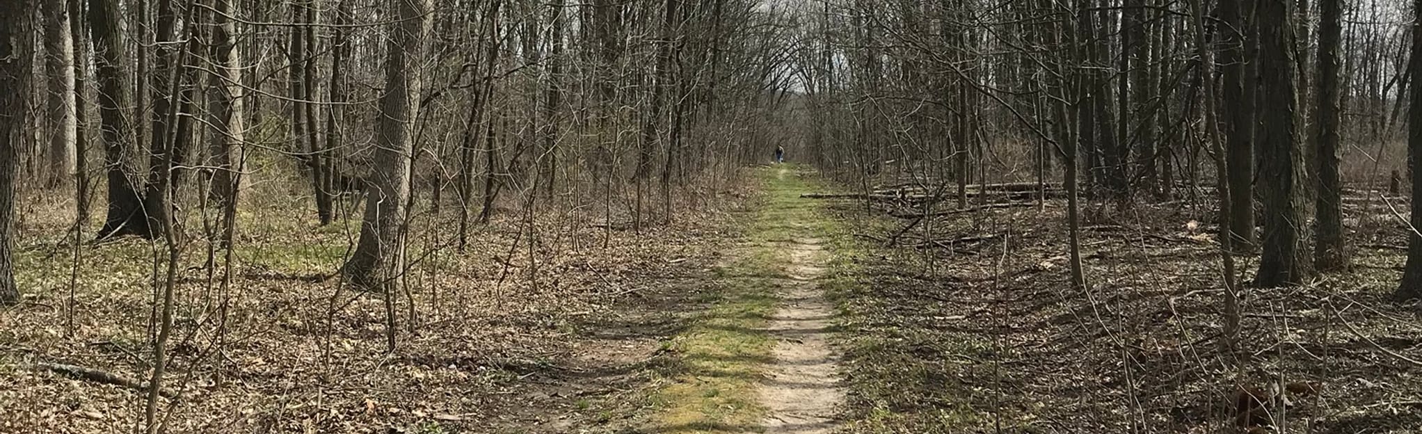 Black Rock Barrens: 41 Reviews, Map - Indiana | AllTrails