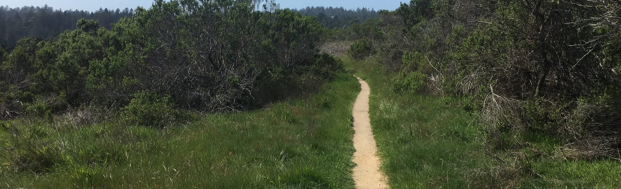 Enchanted Loop, California - 388 Reviews, Map | AllTrails