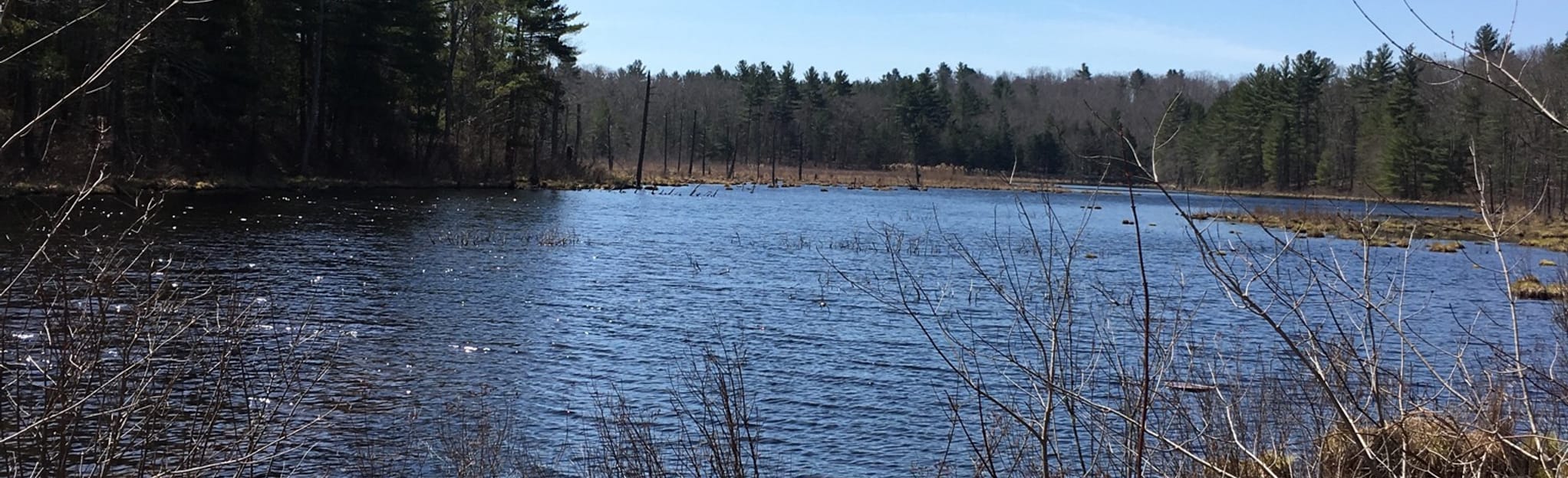 Midstate Trail: East Hill Road, Rutland to Route 9, Spencer: 44 Reviews ...