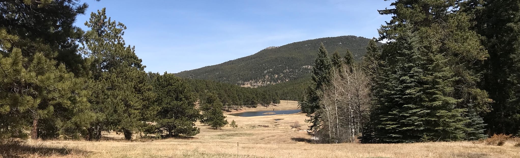 Shadow Pine Loop Trail: 1029 Reviews, Map - Colorado | AllTrails