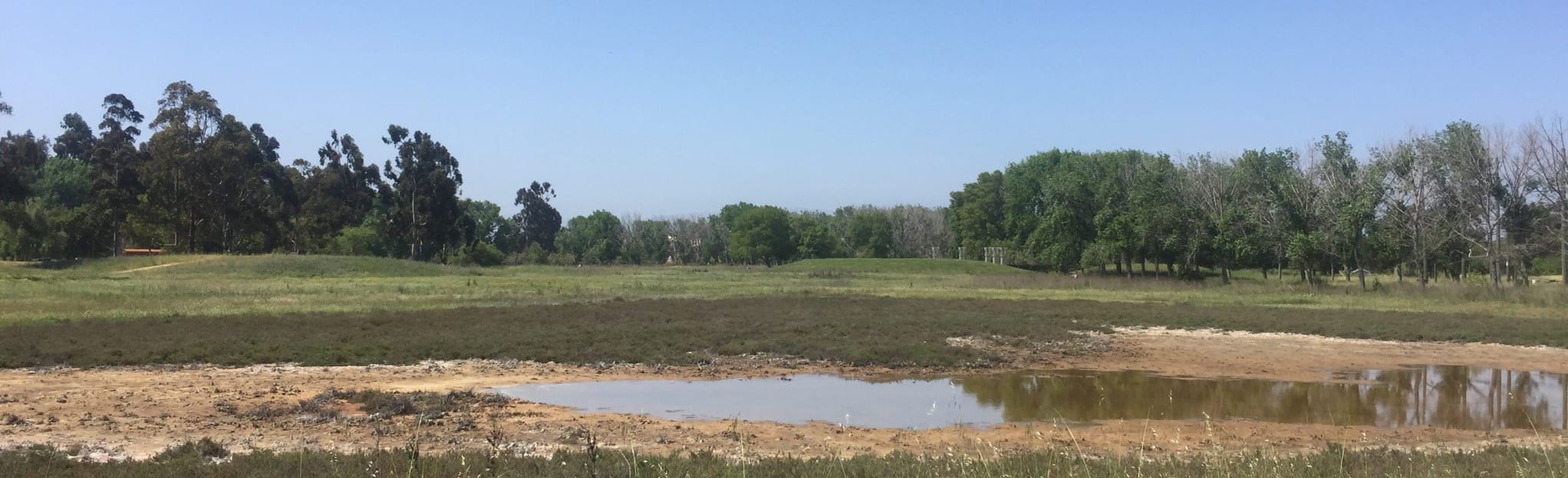 Baylands Perimeter Loop, California - 314 Reviews, Map | AllTrails