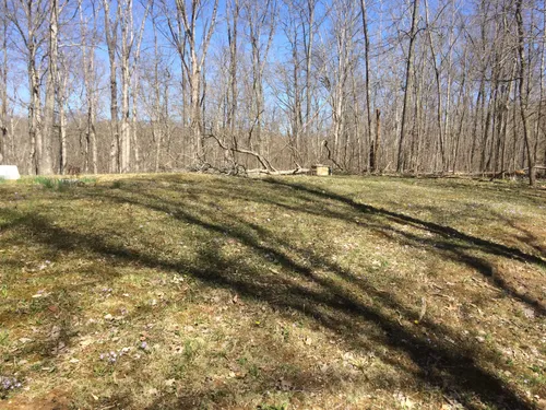 Best 10 Hikes and Trails in Yellowwood State Forest | AllTrails