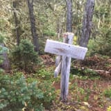 Happy Lake Ridge Trail, Washington - 6 Reviews, Map | AllTrails