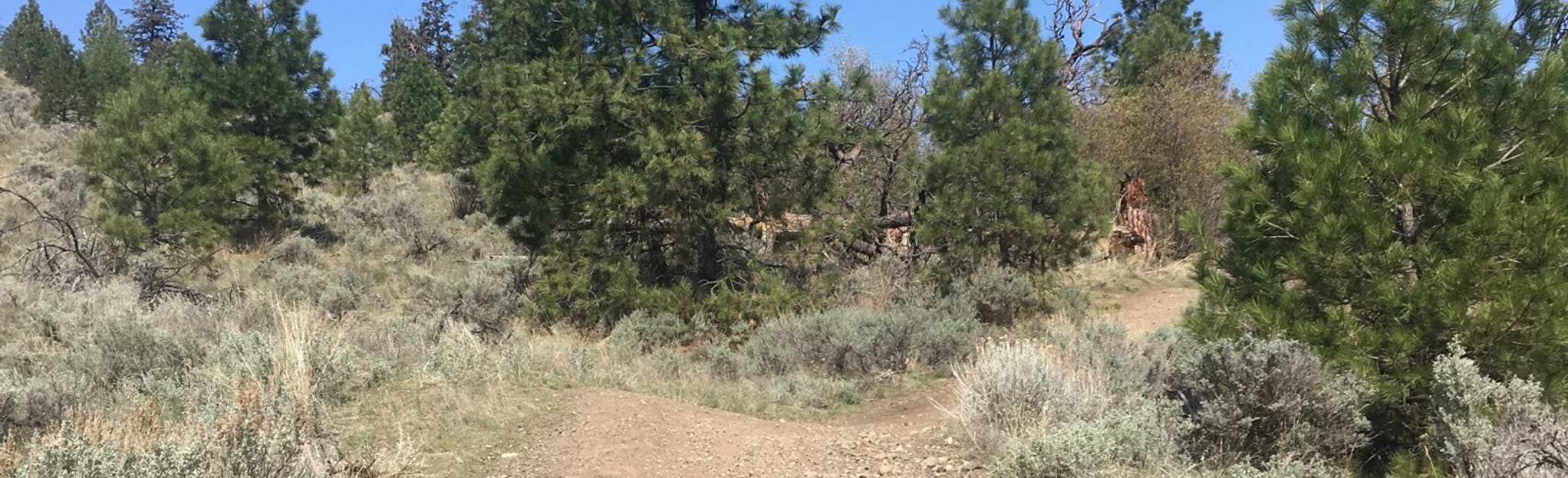 Westsyde Bench Trail, British Columbia, Canada - 15 Reviews, Map ...