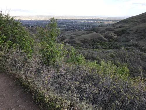 10 Best Hikes and Trails in Corner Canyon Regional Park | AllTrails