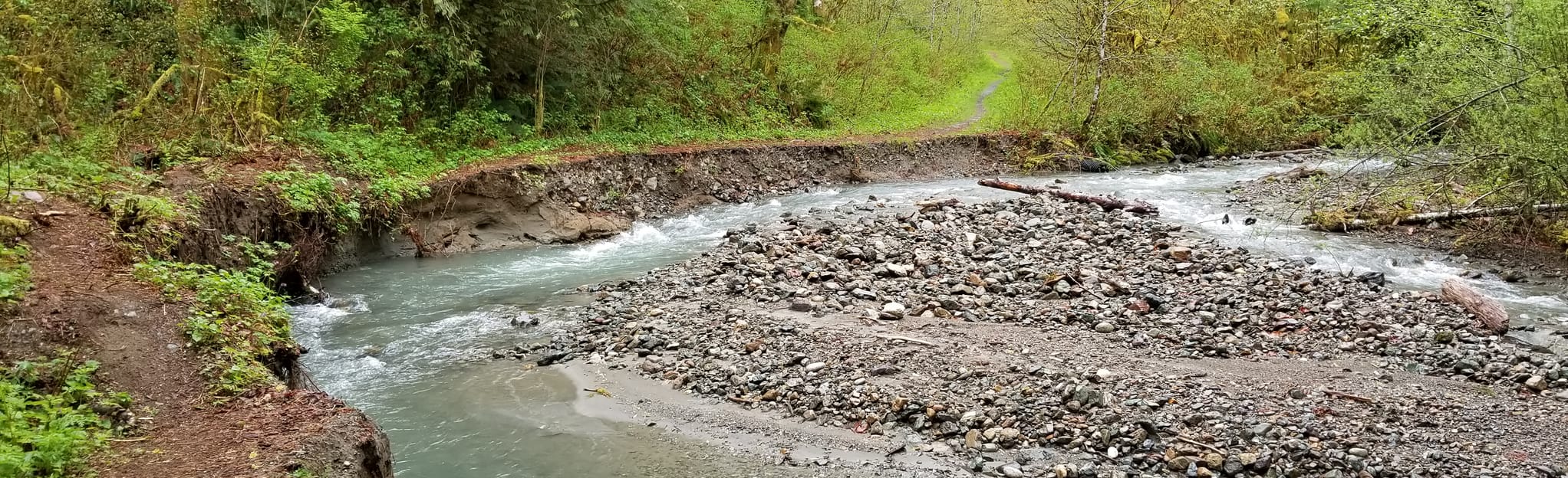 Mine Road Trail: 319 Reviews, Map - Washington | AllTrails