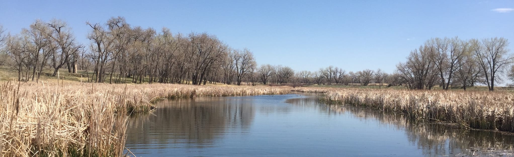 Lake Ladora and Lake Mary Loop and Prairie Trail: 319 Reviews, Map ...