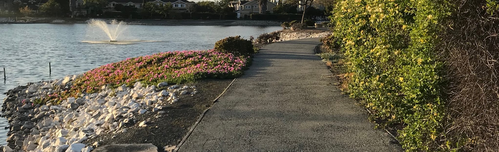 Hidden Lake Foot Path, California - 92 Reviews, Map | AllTrails