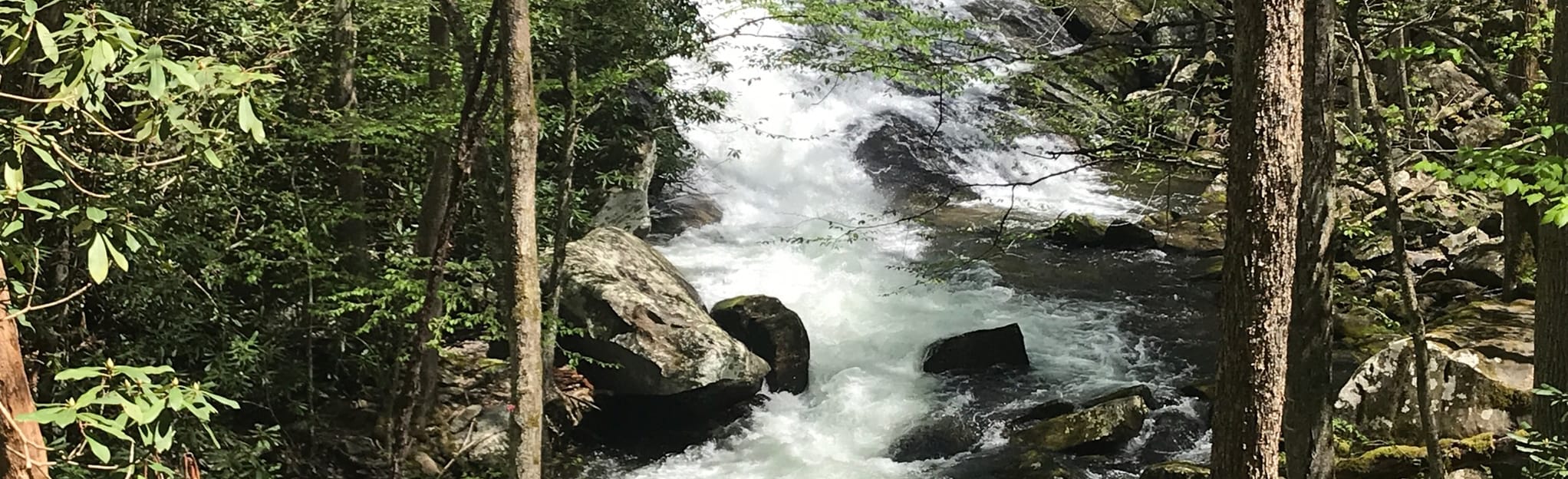 AllTrails | Middle Prong, Lynn Camp, Miry Ridge-Panther Creek Loop: 116 ...