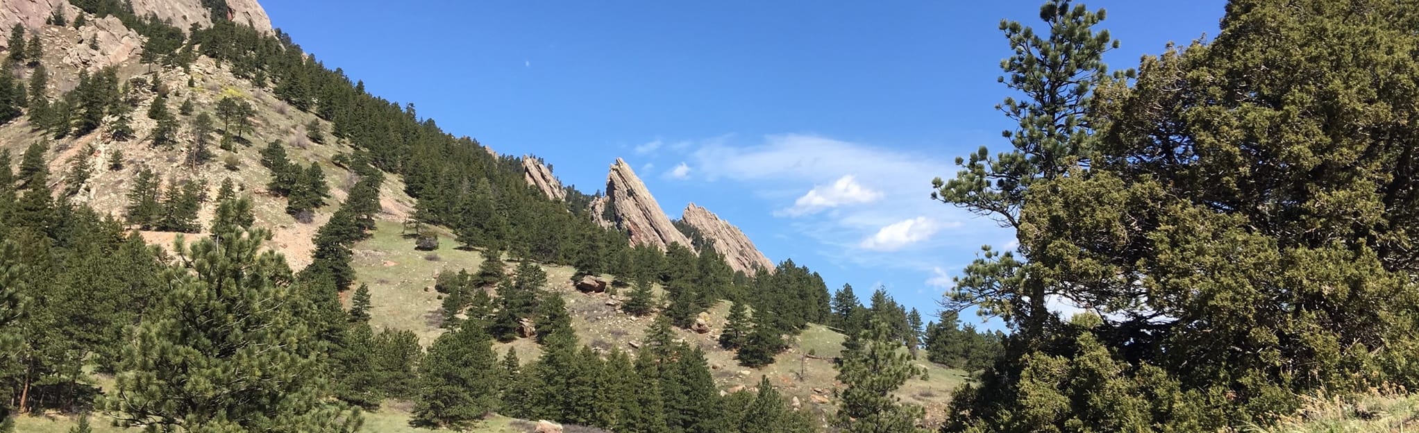 Shanahan and Mesa Trail Loop: 264 Reviews, Map - Colorado | AllTrails