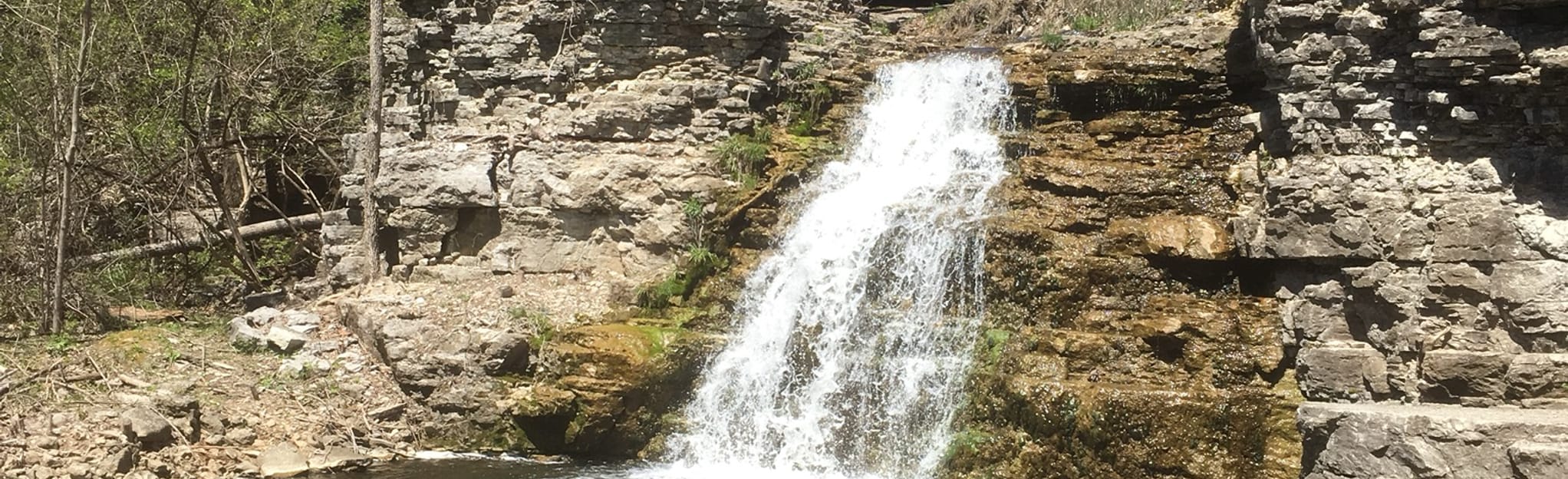 Spring Dry Loop: 50 Reviews, Map - Indiana | AllTrails