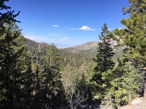 10 Best Hikes and Trails in Spring Mountains National Recreation Area ...