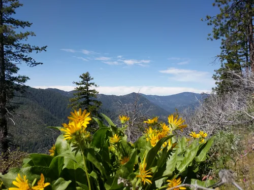 10 Best Hikes and Trails in Klamath National Forest | AllTrails
