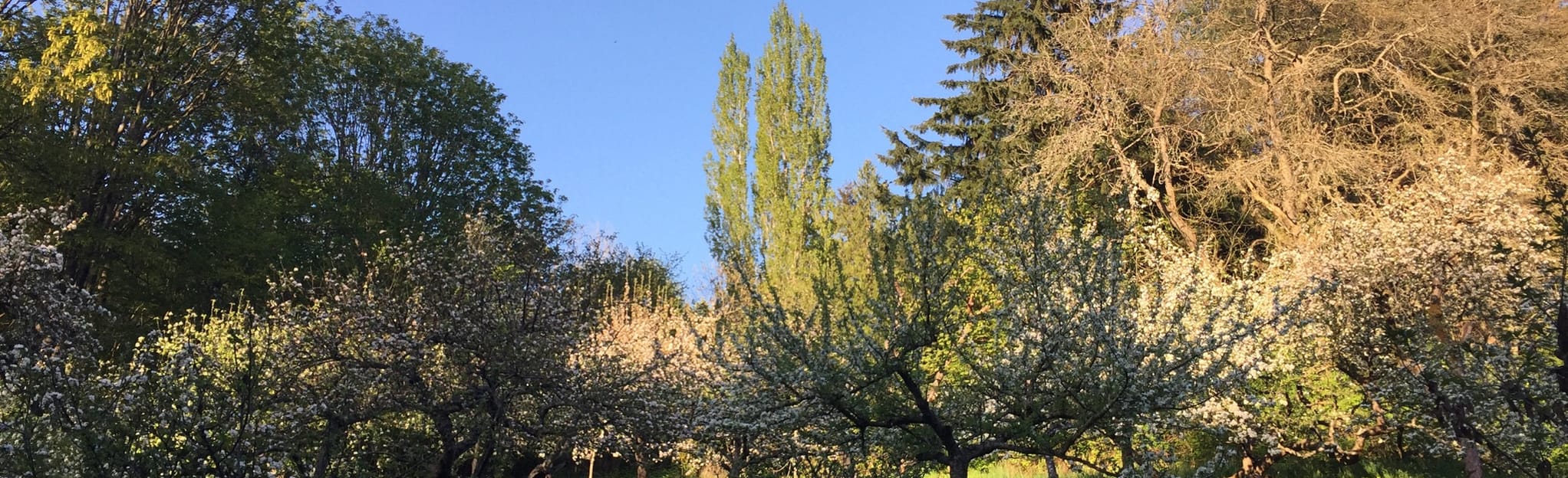 Carkeek Park via Pipers Creek Trail: 985 Reviews, Map - Washington ...