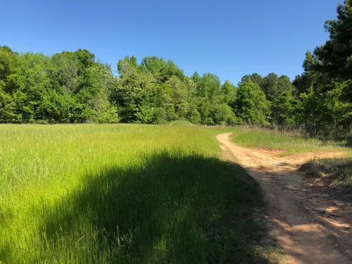 10 Best Hikes and Trails in Anne Springs Close Greenway | AllTrails