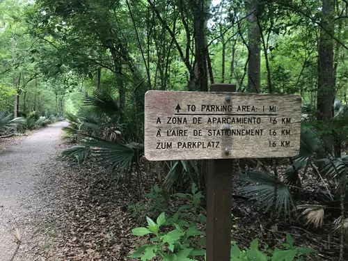 Best Hikes and Trails in Jean Lafitte National Historical Park and ...