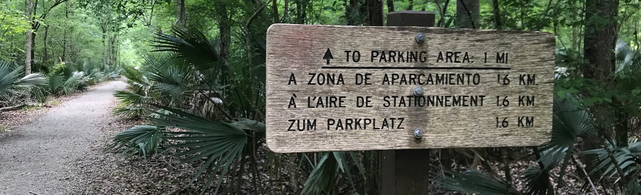 Old Barataria Trail [FECHADO]: 81 fotos - Luisiana | AllTrails