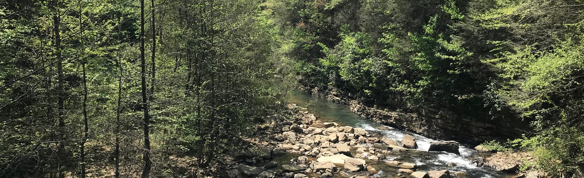 Signal Point Trail via Suck Creek Road, Tennessee - 453 Reviews, Map ...