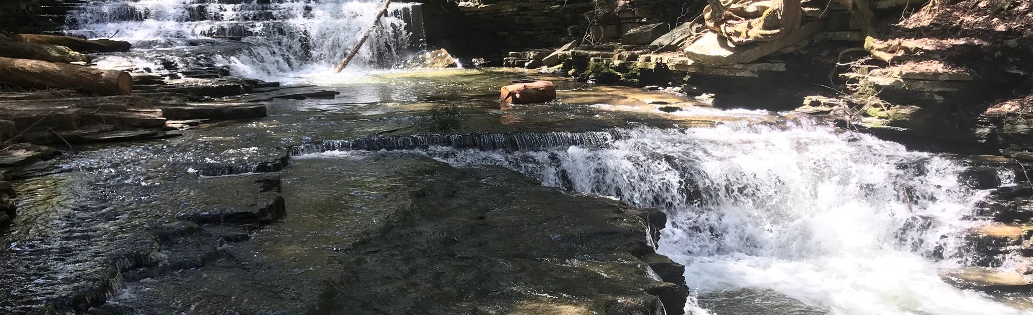 Falls, Wetland, and Gorge Trail Loop: 222 Reviews, Map - Pennsylvania ...