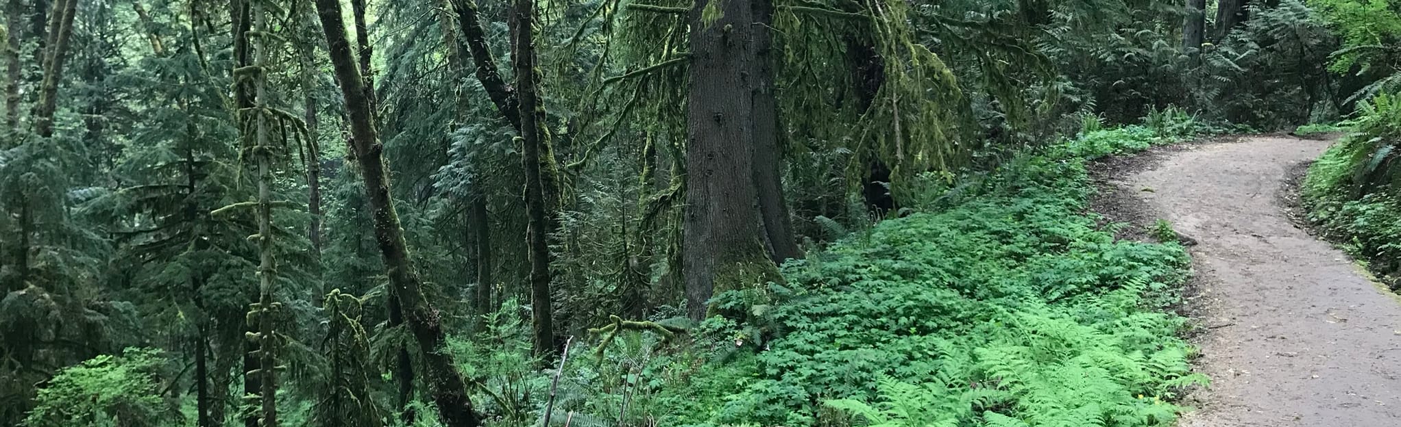 Wildwood Trail, Northwest Newton Road, and Leif Erikson Drive Loop: 67 ...