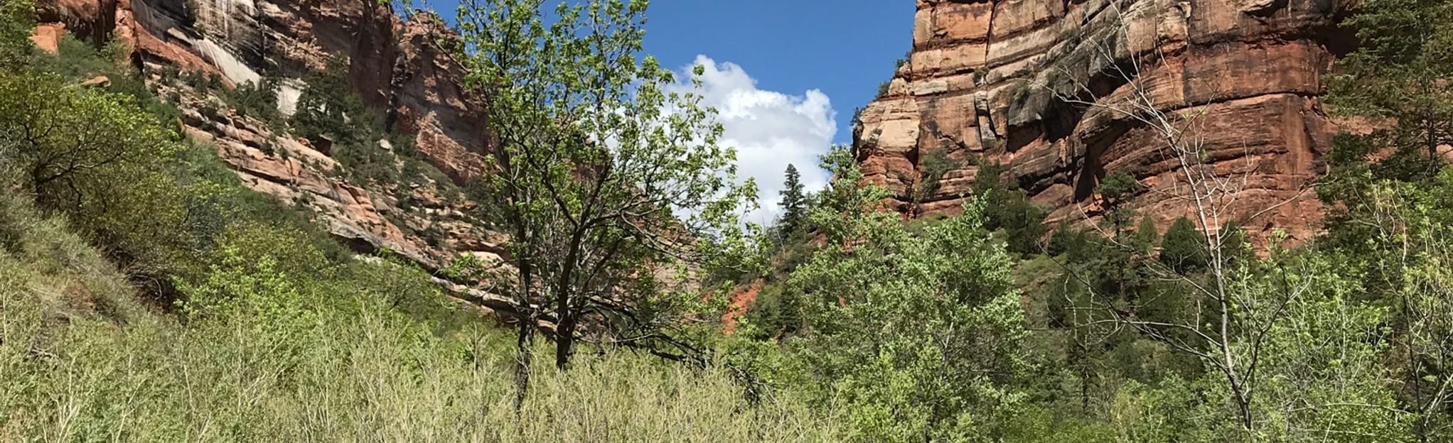 Left Fork (Subway) Canyoneering Route, Utah - 523 Reviews, Map | AllTrails