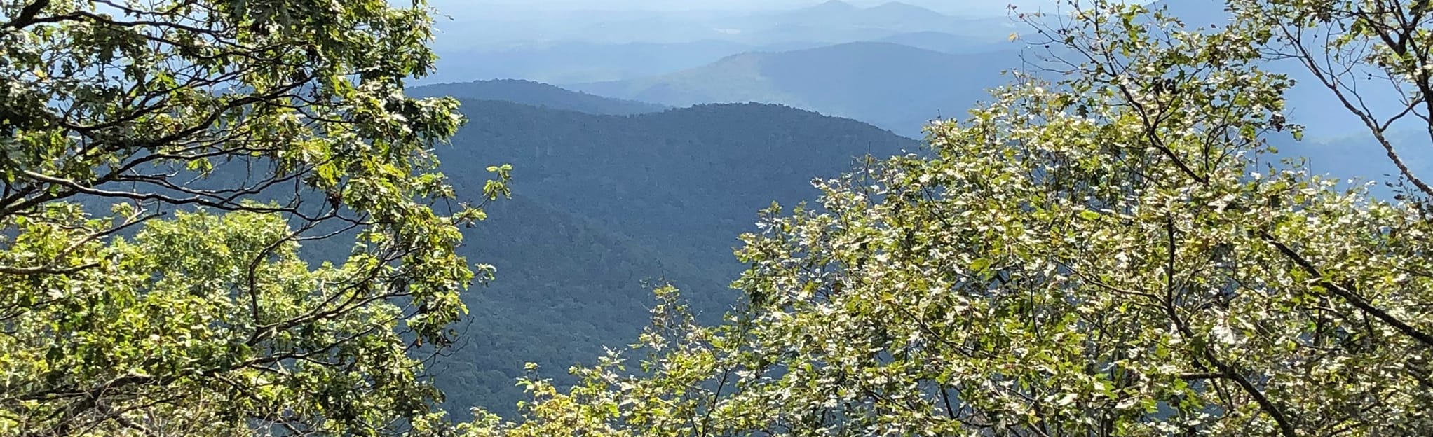 Lake Winfield Scott to Bryon Herbert Reece Trail, Georgia - 84 Reviews ...