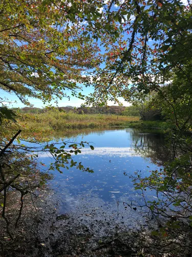 10 Best Trails and Hikes in Nantucket | AllTrails